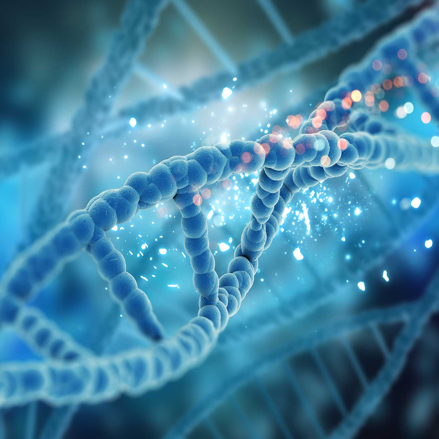 AncestryDNA Raw Data Interpretation | Sequencing