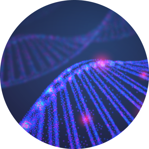 Genome Explorer v3