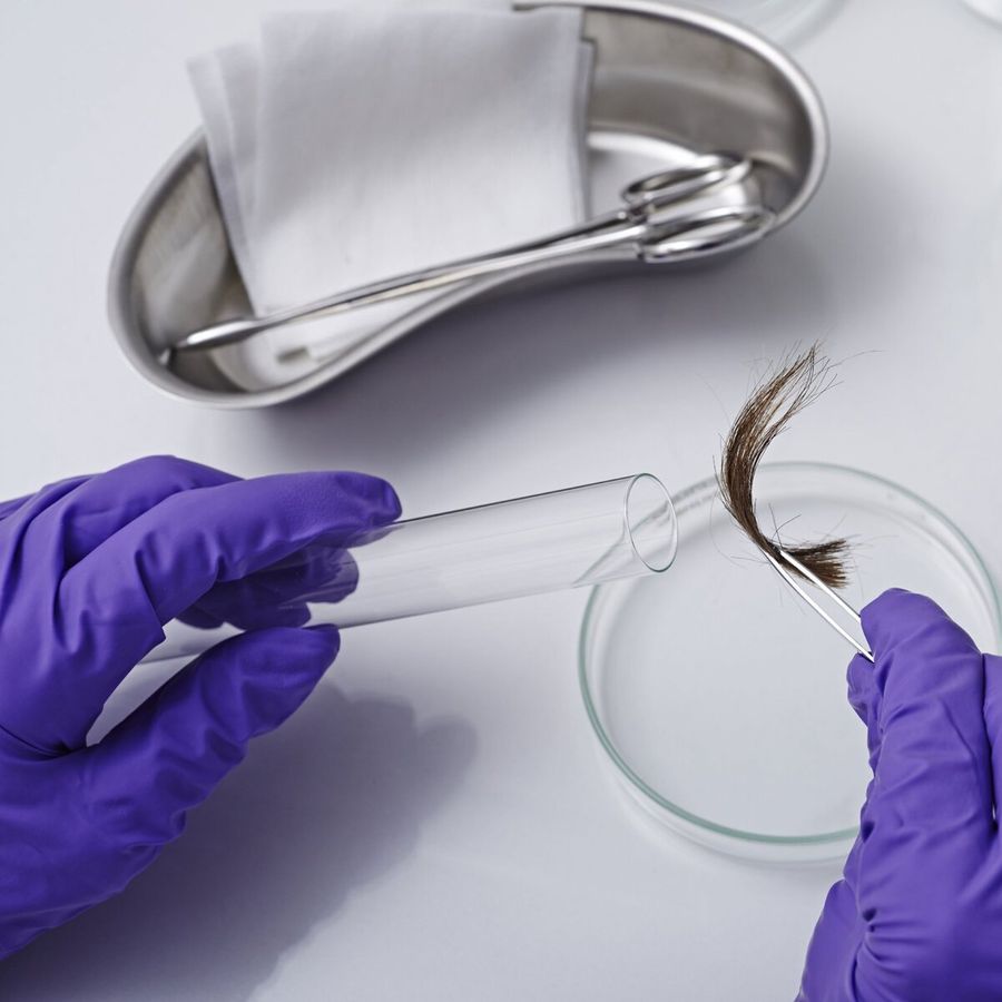 5 Things You Need to Know About Hair DNA Tests | Sequencing.com