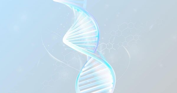 | Sequencing | Sequencing.com