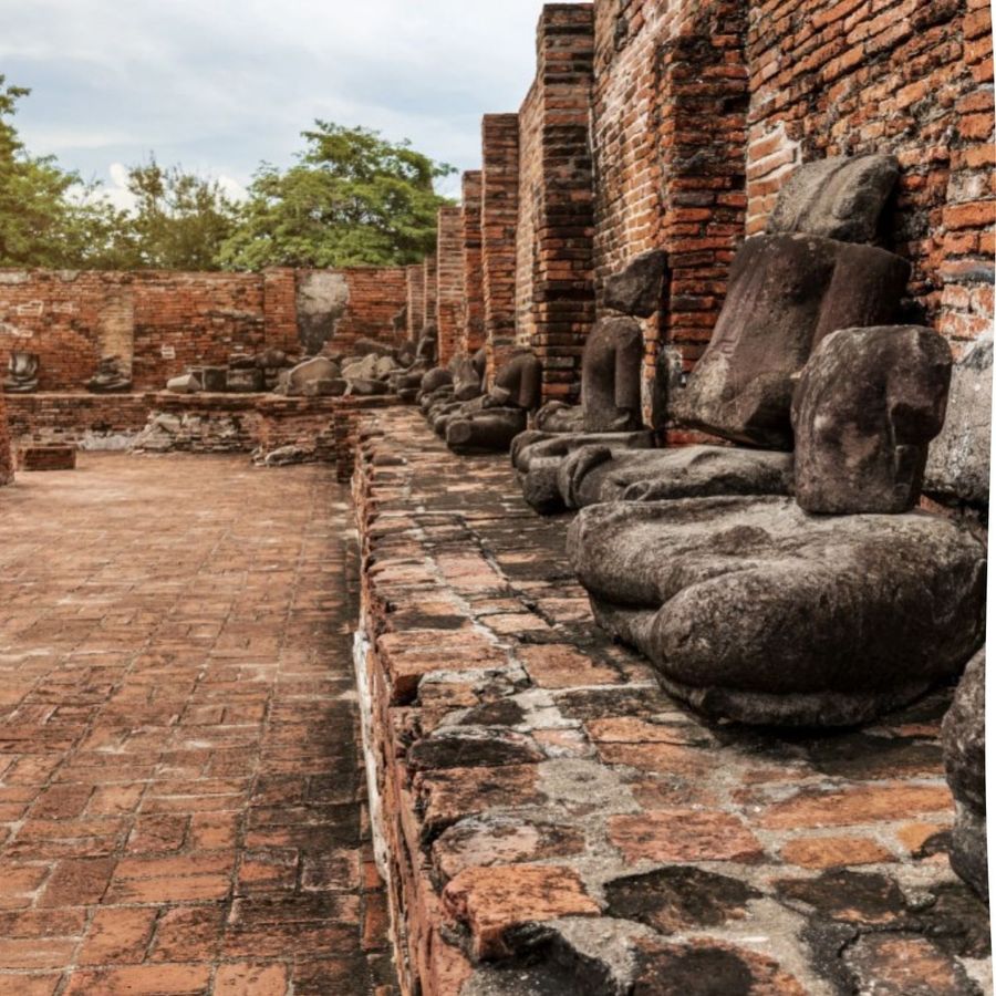 Ancient DNA Analysis - Reveal Your Ties to the Past | Sequencing.com