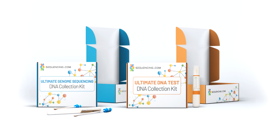 The Best Way to Store DNA Raw Data | Protect Your DNA Test Results ...