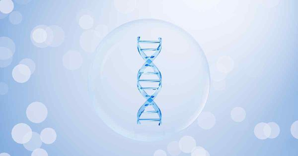 Sequencing