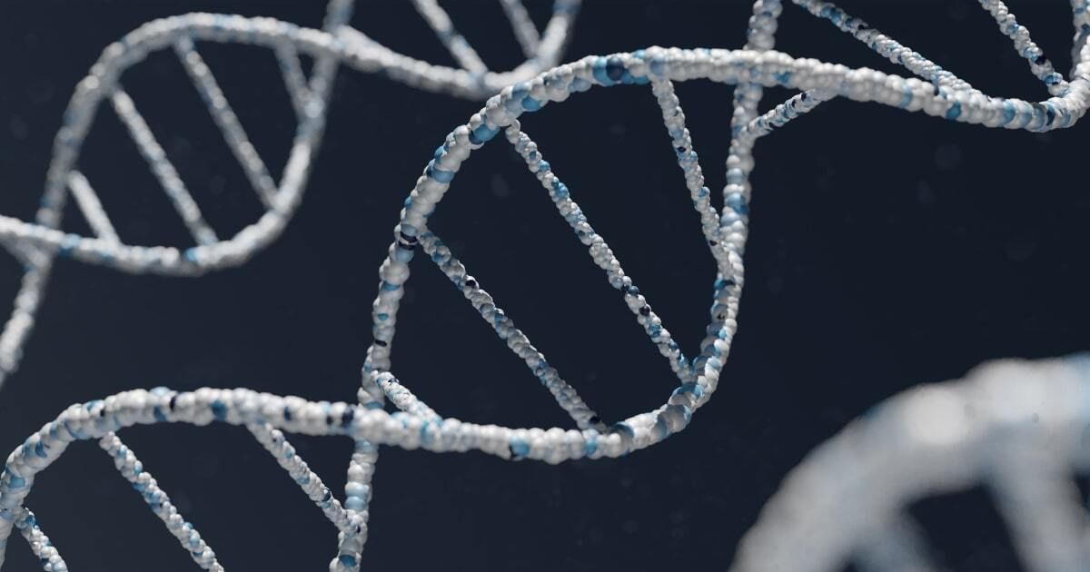 | Sequencing | Sequencing.com