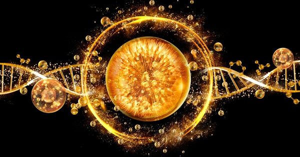 | Sequencing | Sequencing.com