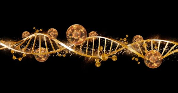 | Sequencing | Sequencing.com