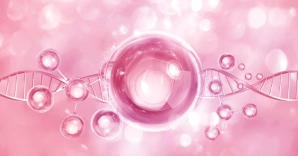 | Sequencing | Sequencing.com