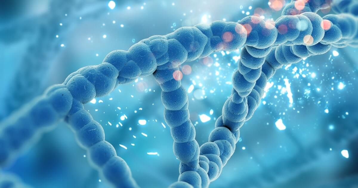 | Sequencing | Sequencing.com