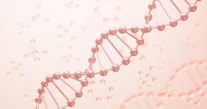 | Sequencing | Sequencing.com