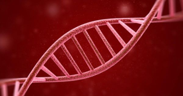 | Sequencing | Sequencing.com