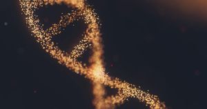 | Sequencing | Sequencing.com