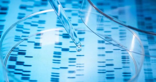 | Sequencing | Sequencing.com