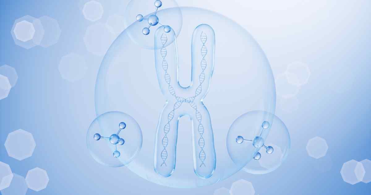 | Sequencing | Sequencing.com