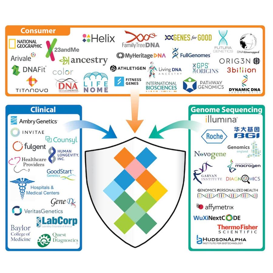 How to Upload Raw DNA Data to Sequencing.com | Genome Data | Sequencing.com